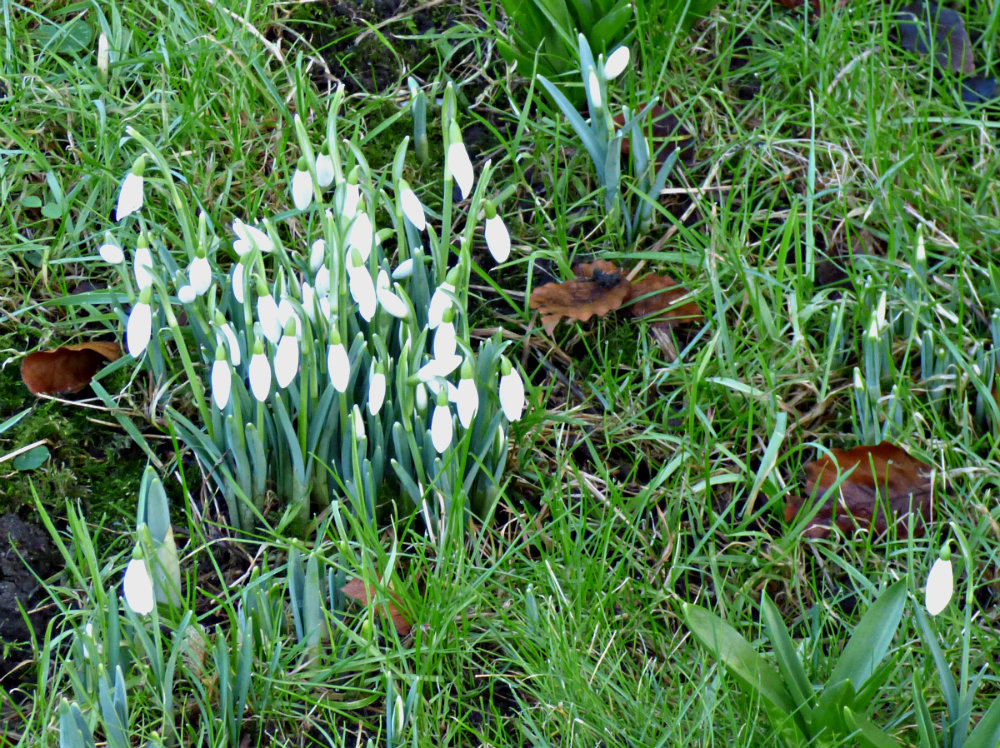 Simple space – The Silent Eye