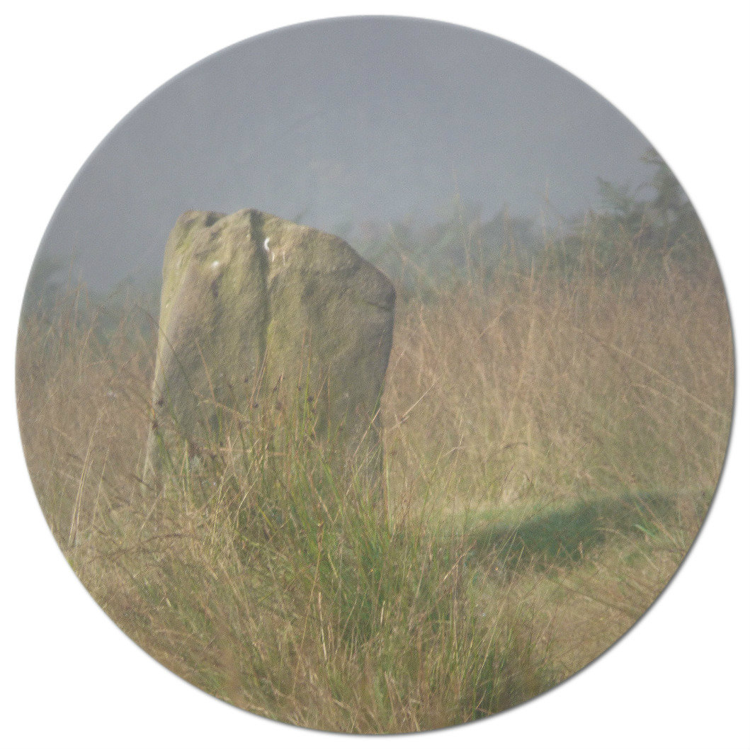 The Feathered Seer – Divining meaning – The Silent Eye