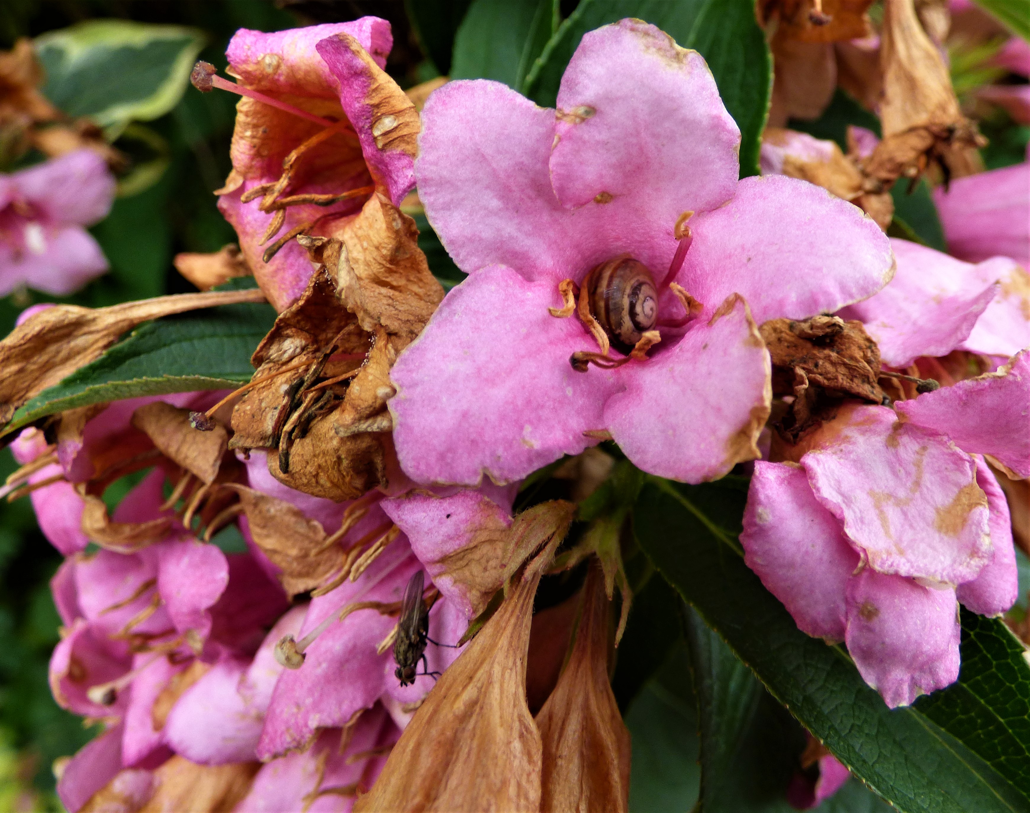 A practical course… – The Silent Eye