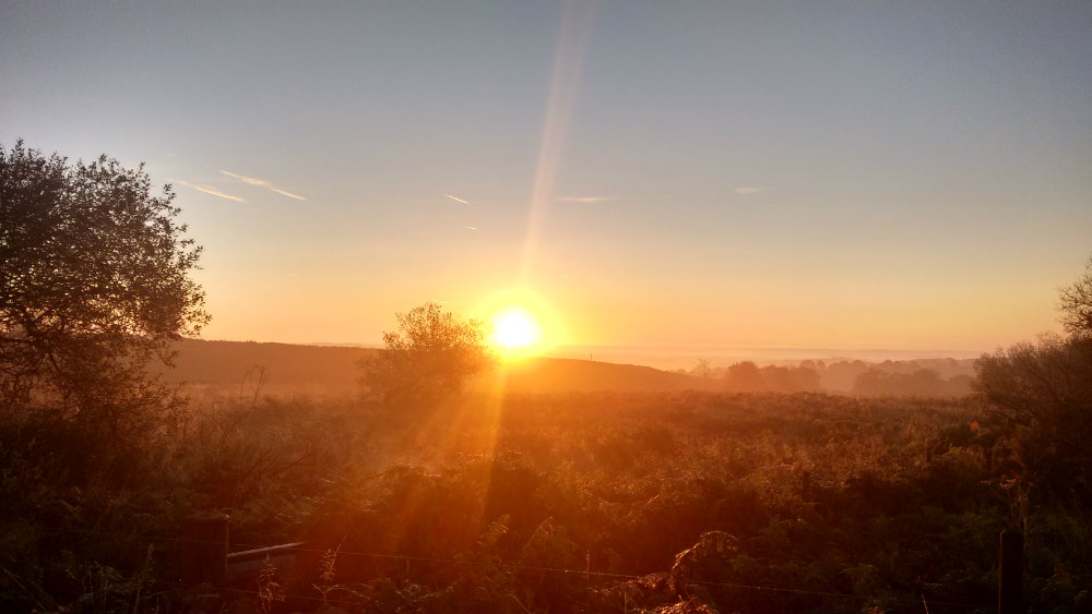 Healing – The Silent Eye