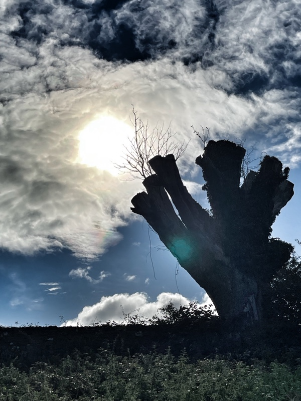 Eye, Aye and I – The Silent Eye