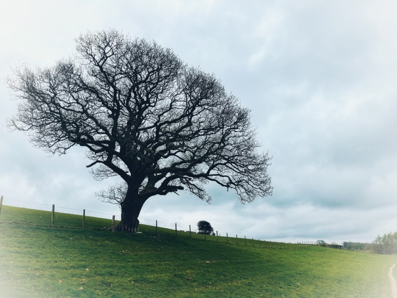 the watery curve of acceptance – The Silent Eye